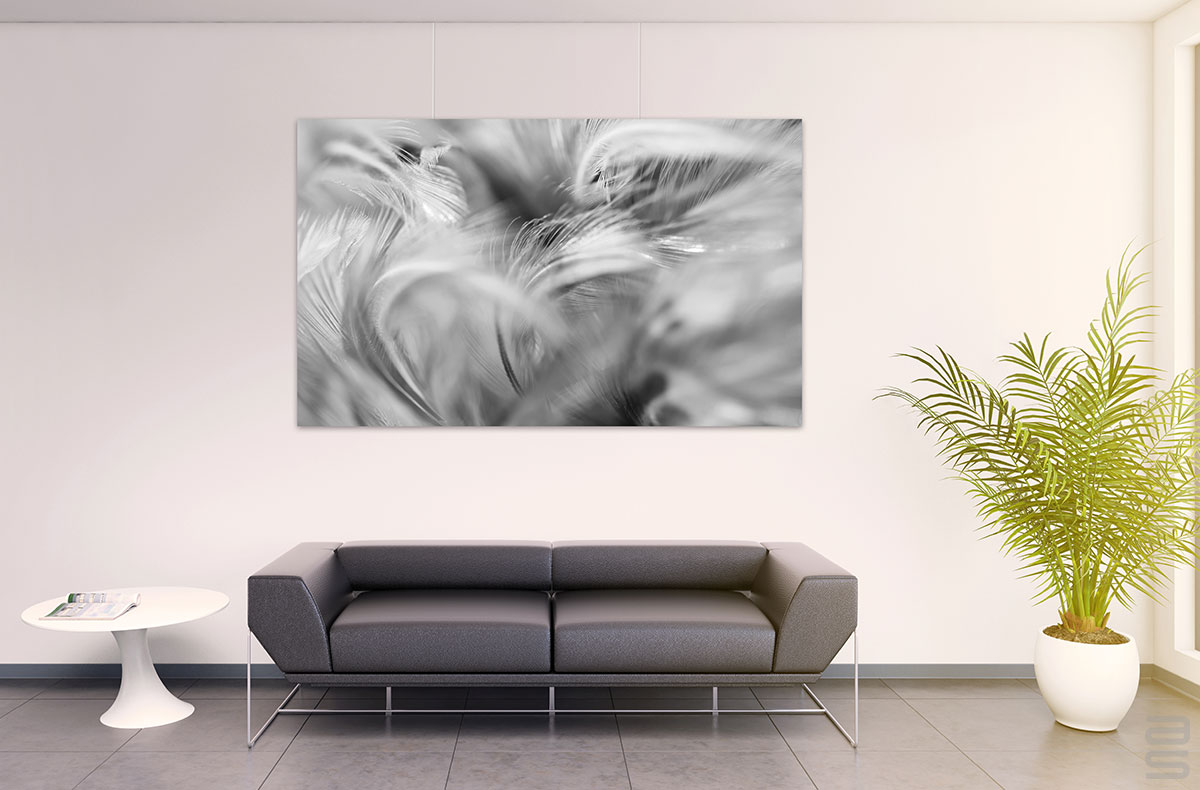 Shadowline Ceiling Track concealed and unseeable art and picture ...