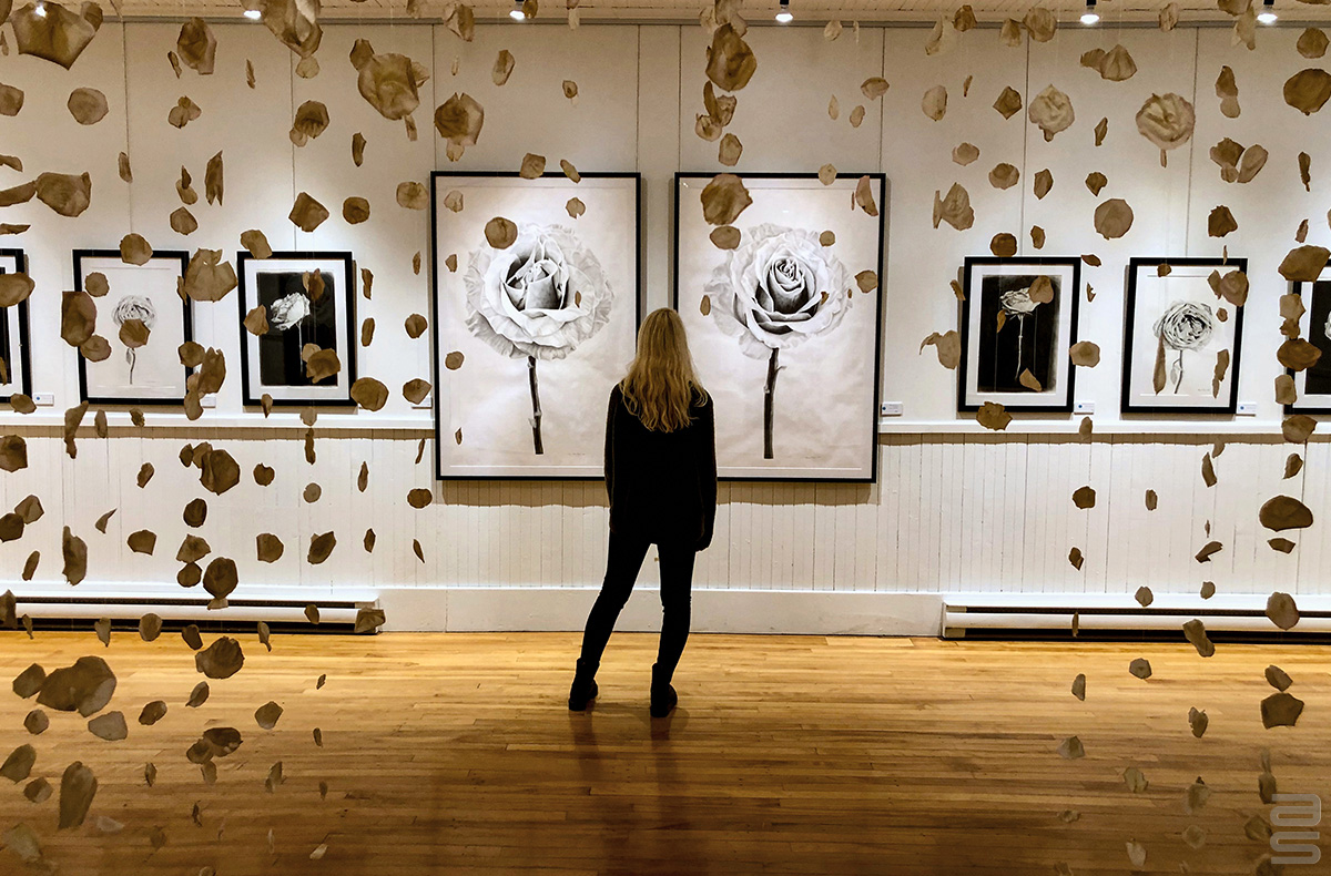 Gallery Hanging System – Flexible & Professional Art Exhibit Display
